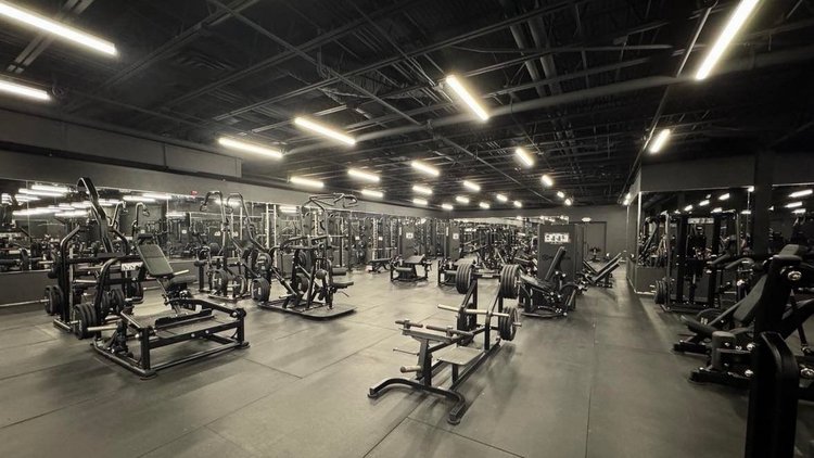 Professional bodybuilder opens high-end training gym in north St. Pete