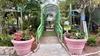 The Chattaway, St. Petersburg’s longest-running restaurant, will close ...