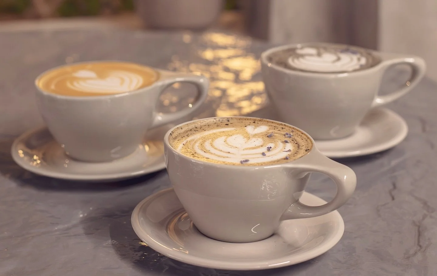 Local coffee shop Sugar Baby quietly opens inside concrete design ...