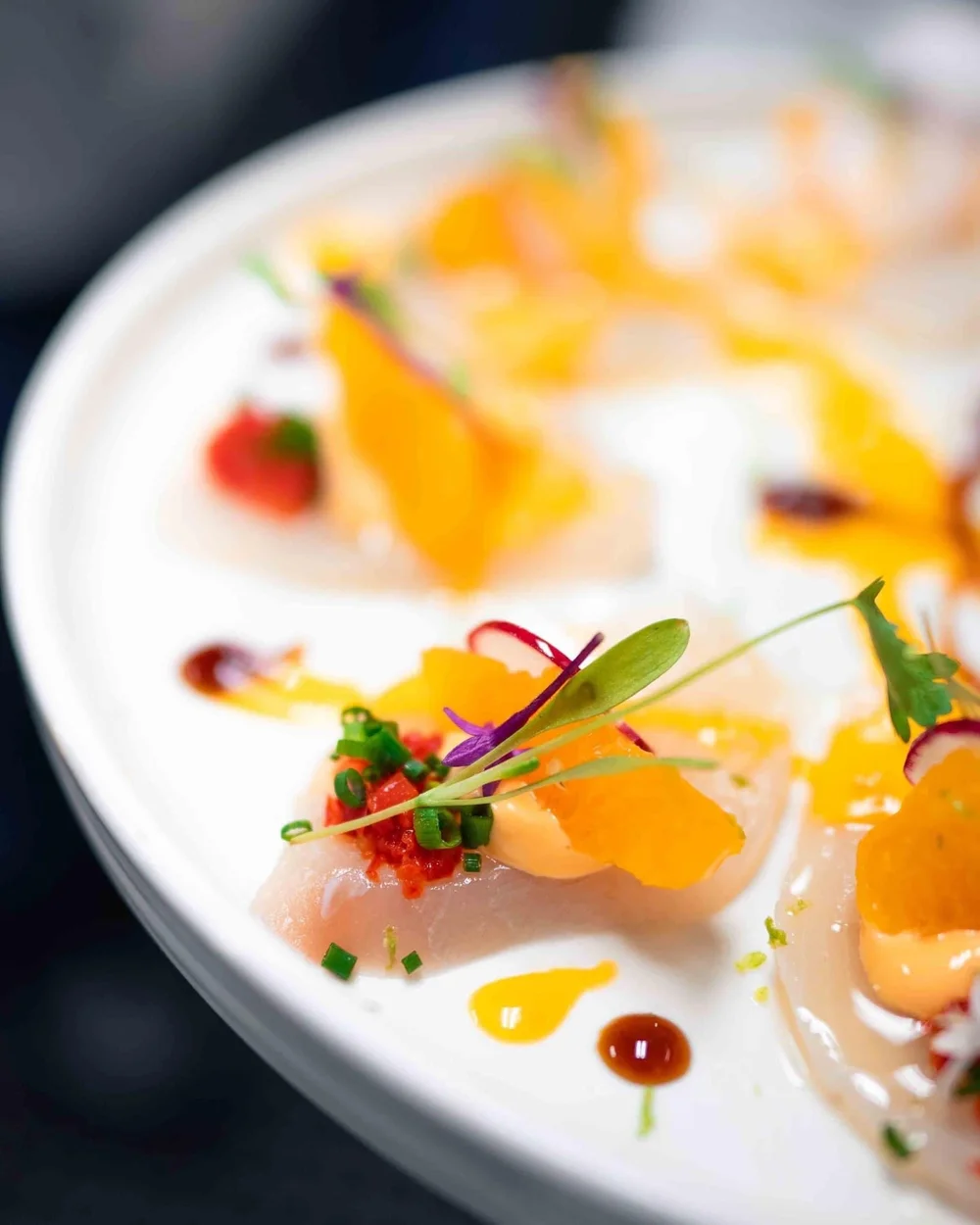Chef Chris Ponte’s modern Italian restaurant OLIVIA coming to downtown ...