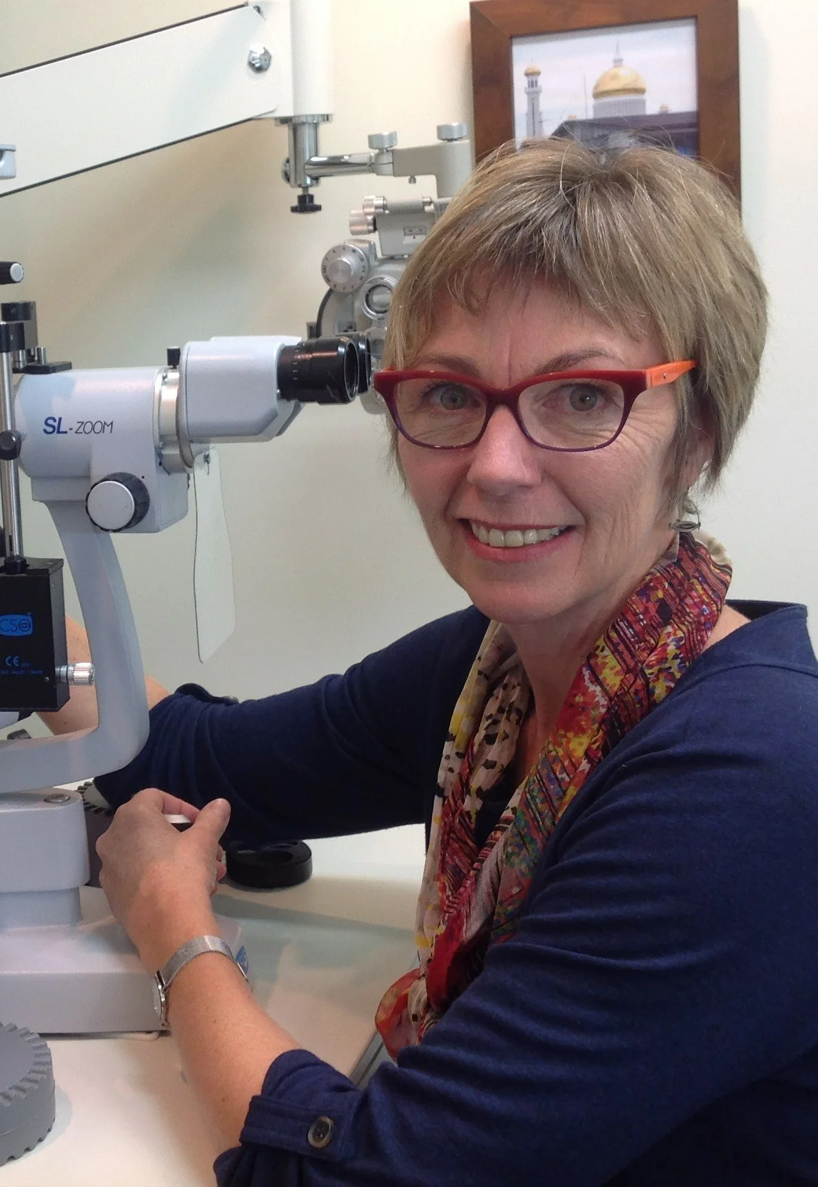McDonald Adams Optometrists Should I see an Optometrist or a GP?