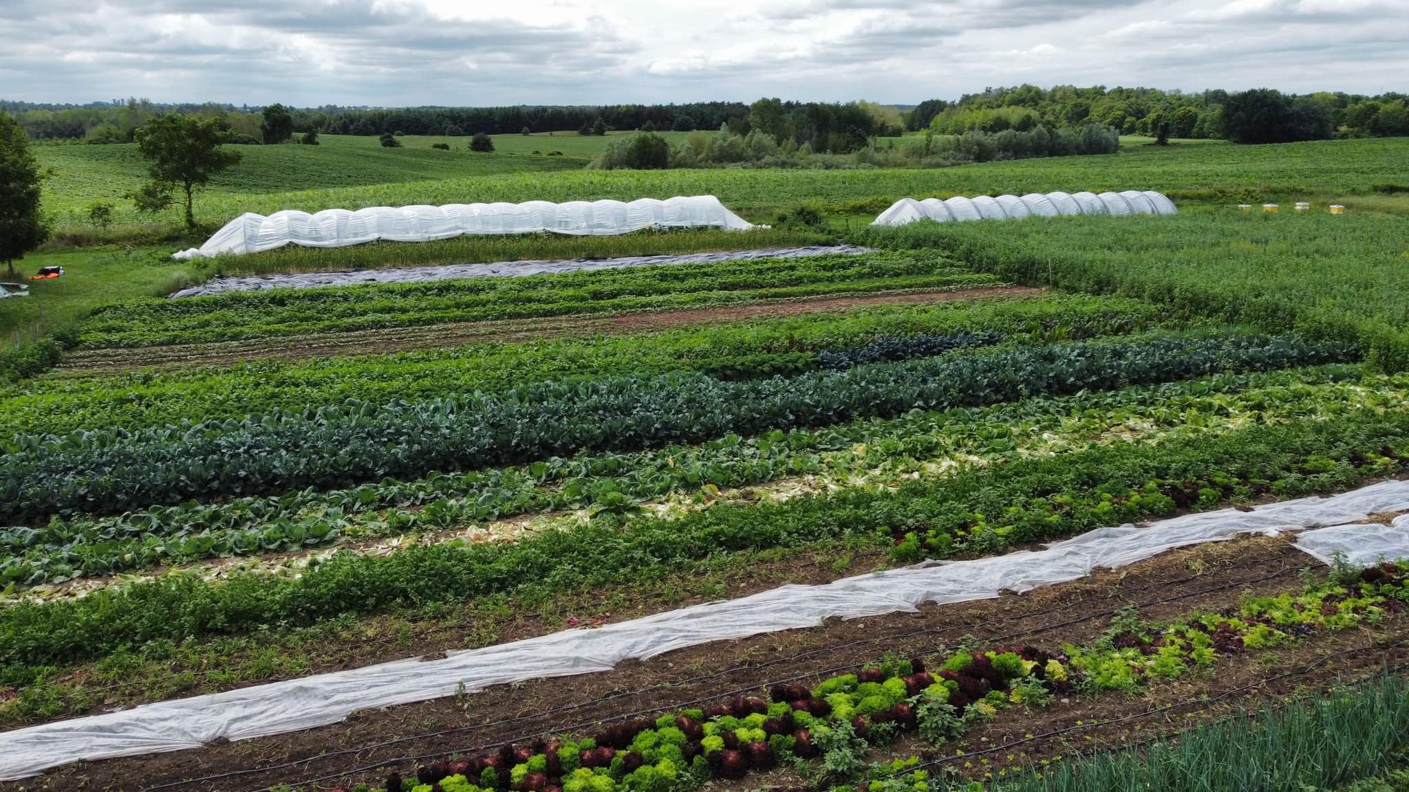 Little Fields Farm
