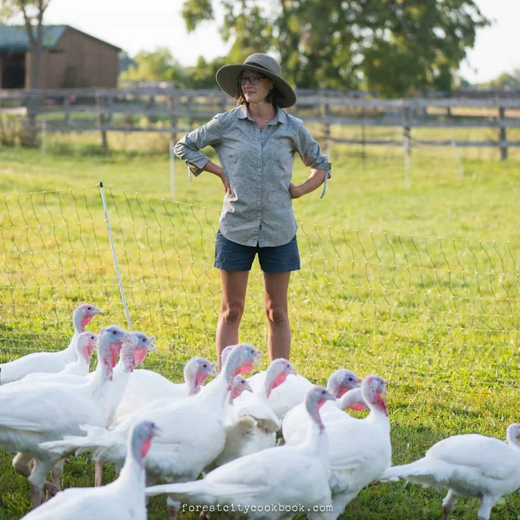 Little Fields Farm