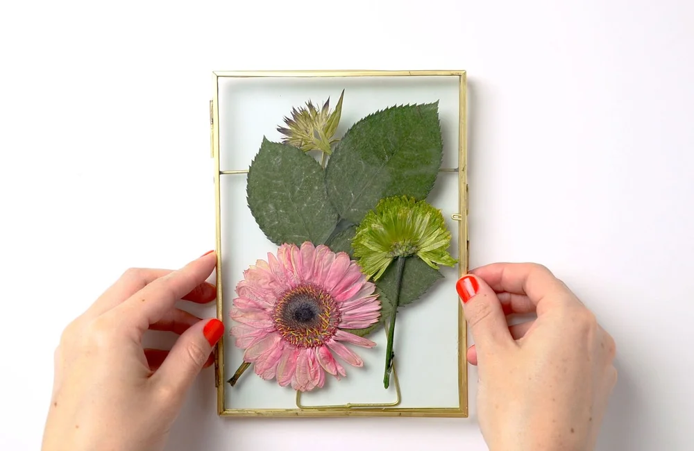 How to Press Flowers — Bob's Market and Greenhouses