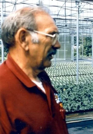 About Us | Discover Our Journey — Bob's Market and Greenhouses