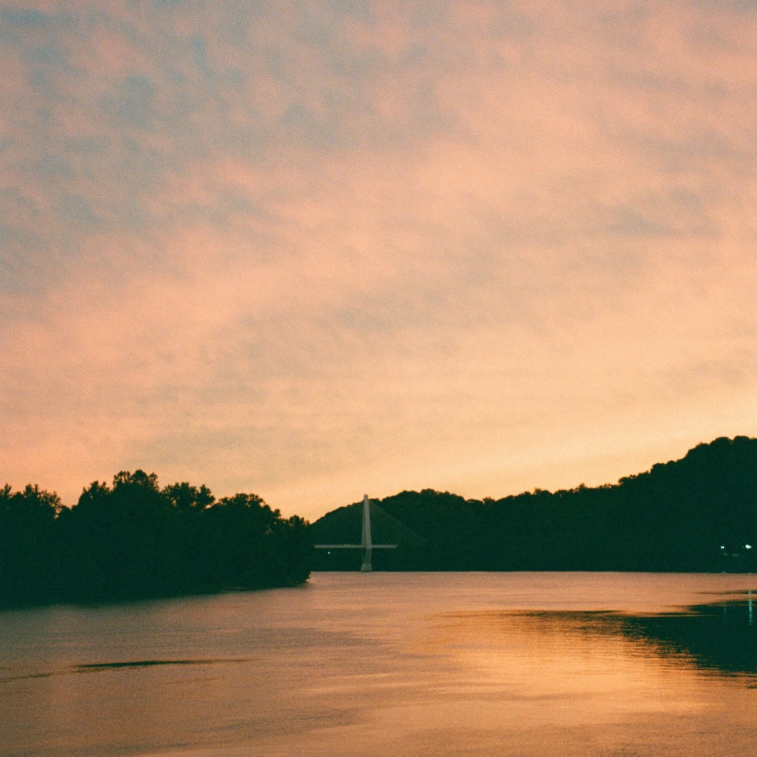 The Zones are Changing: A Guide to USDA Hardiness Zones — Bob's Market ...