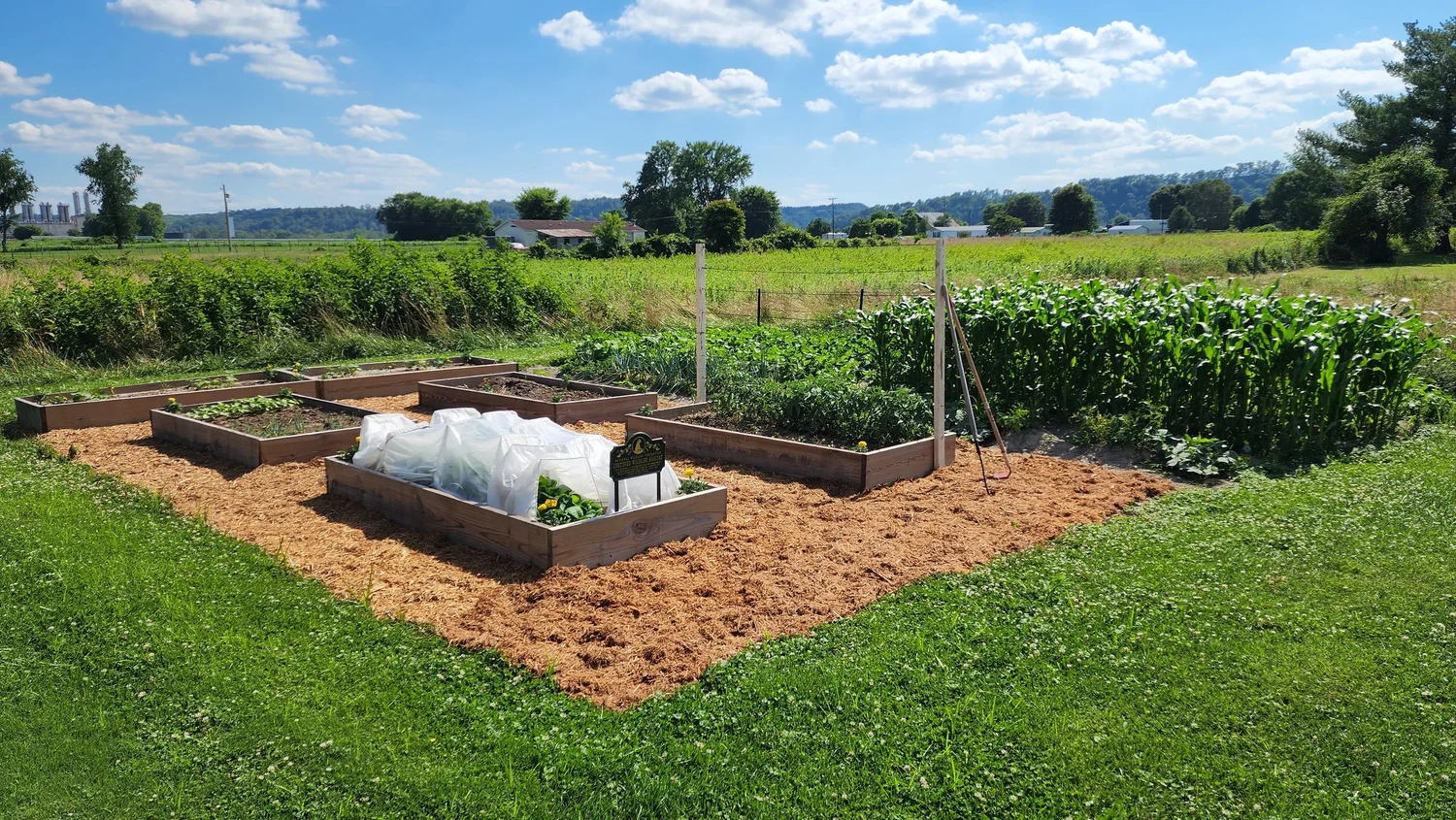 Row Covers for Pest Protection — Bob's Market and Greenhouses