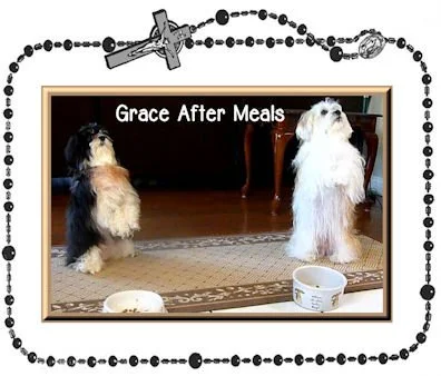 Blessed Beads Rosaries | Grace After Meals Rosaries & Chaplets