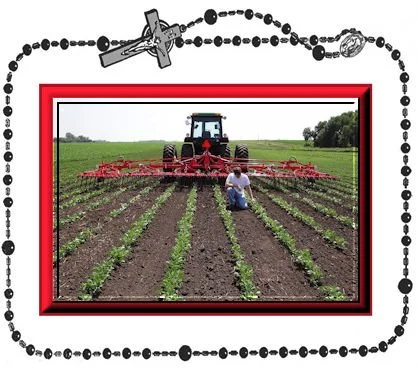 Blessed Beads Rosaries | Farms and Farmworkers Rosaries & Chaplets