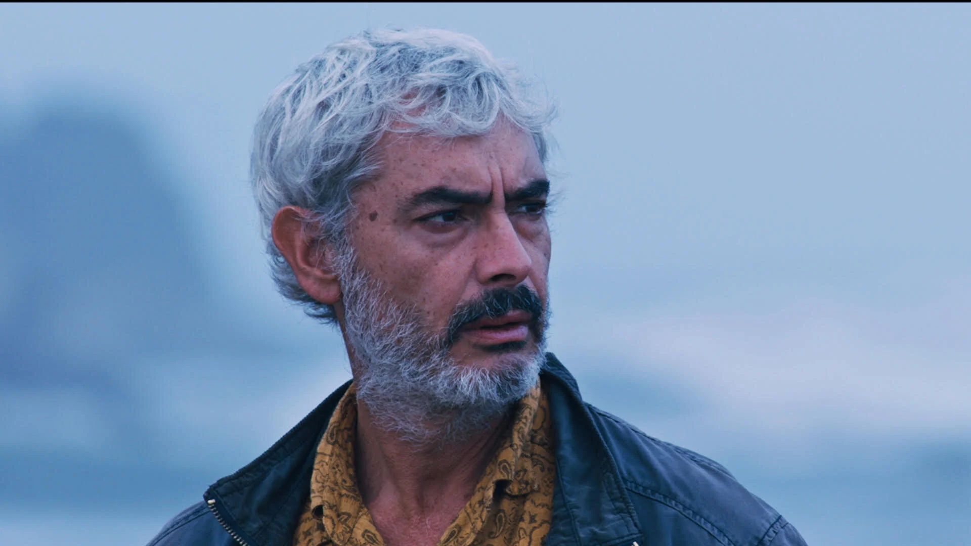 Contactado — Philadelphia Latino Arts & Film Festival