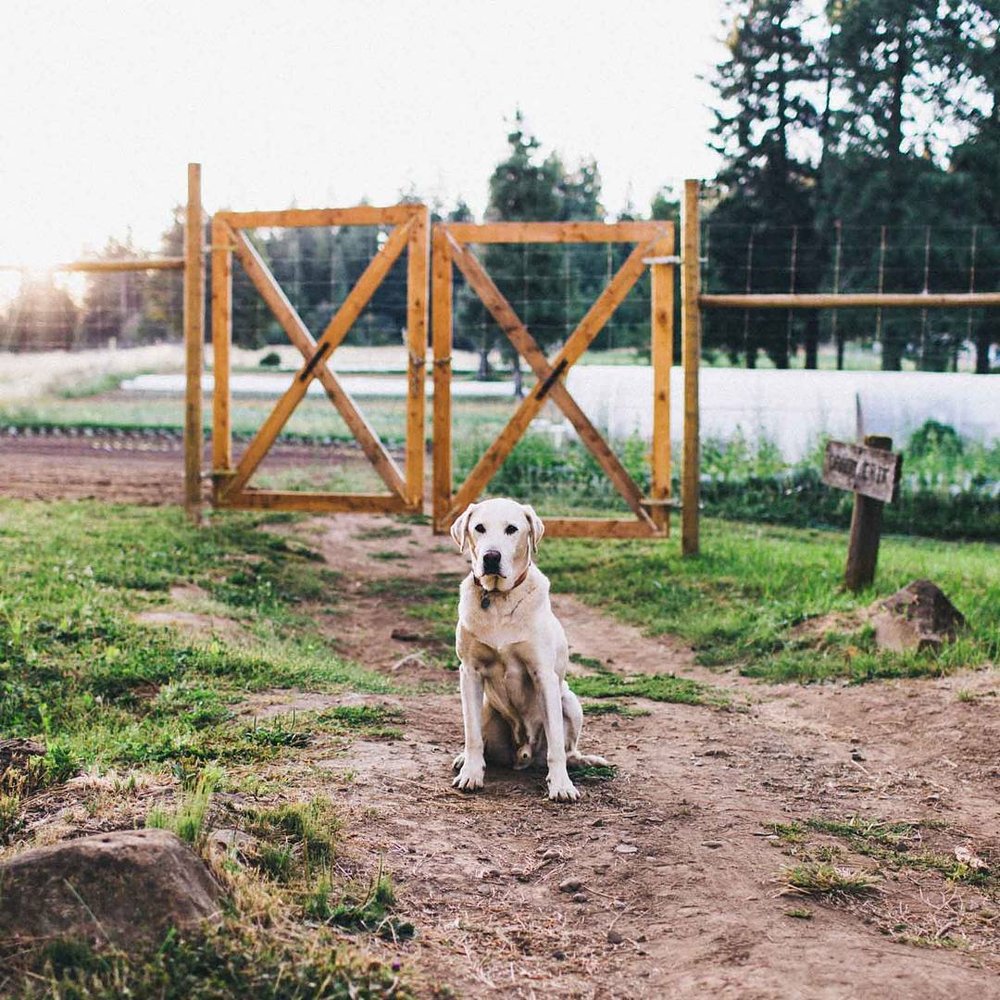 Tumbleweed Farm
