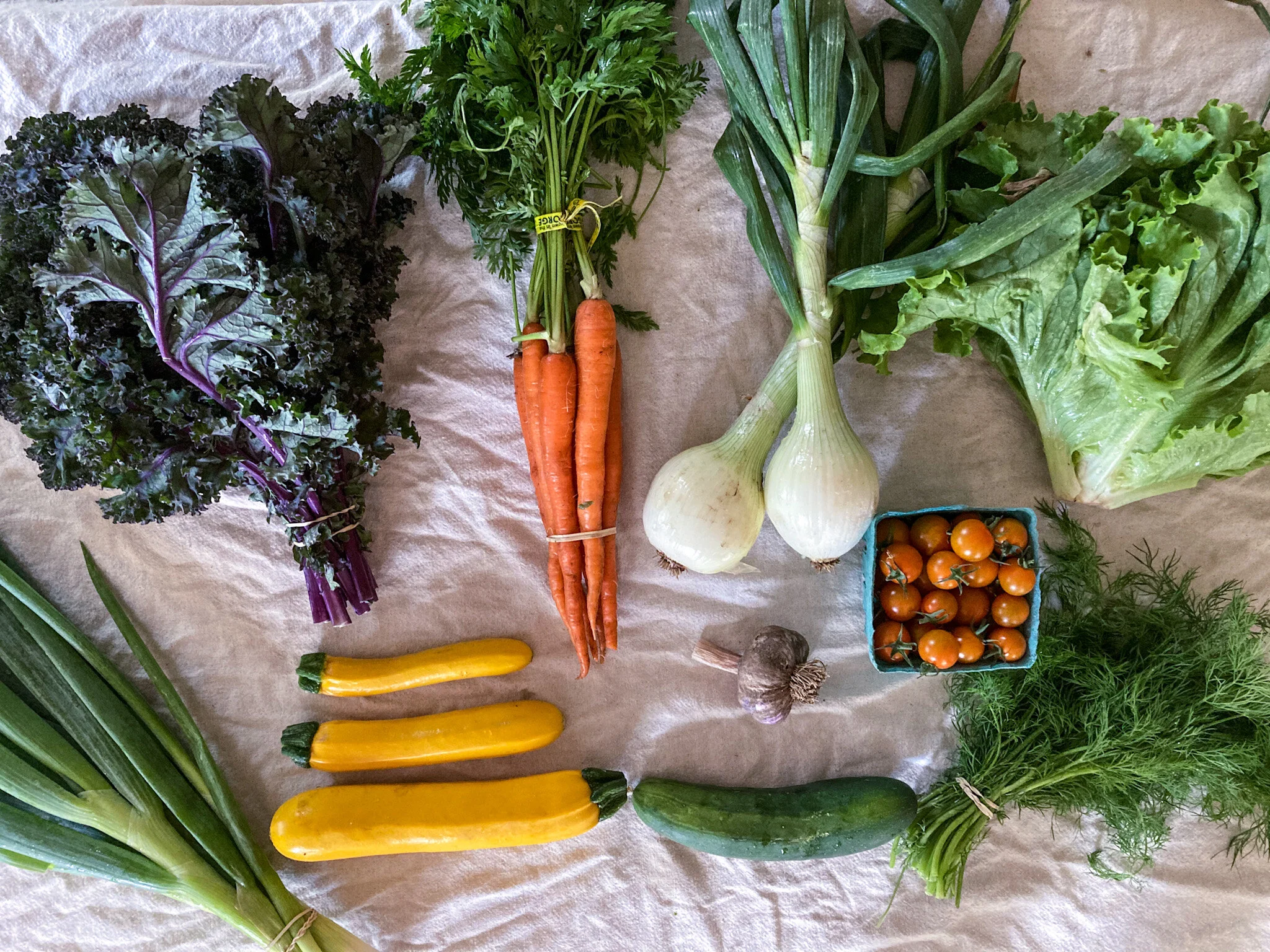 CSA — Tumbleweed Farm