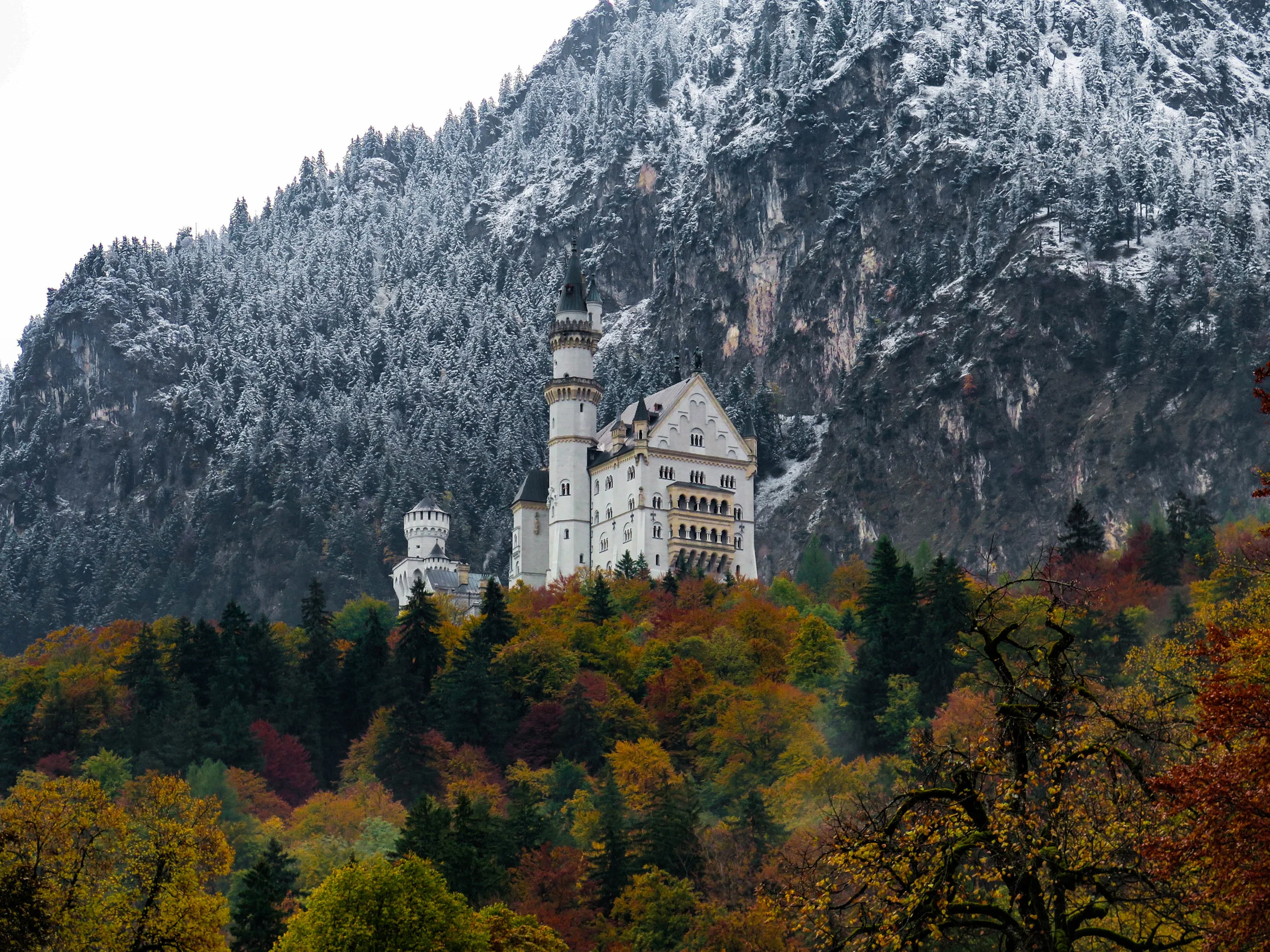 King Ludwig's Castles — Passports and Champagne
