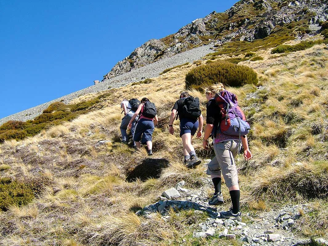 Mount Cook National Park Day Hikes — Alpine Guides, Aoraki Mount Cook ...