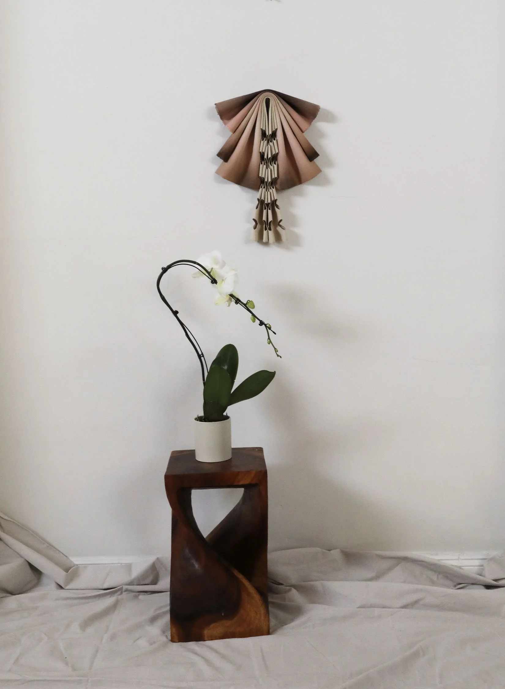 Gallery — Susan Maddux