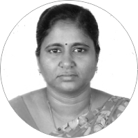 About — Custom Products: Areca, Biodegradable, Corrugated, Disposable ...