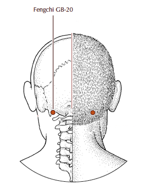 5 Acupressure Points to Relieve Stress — Acupuncture San Francisco ...