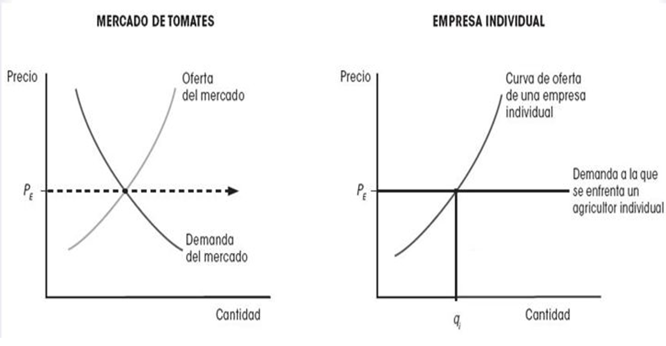 Artículos y reseñas — Liberty & Knowledge