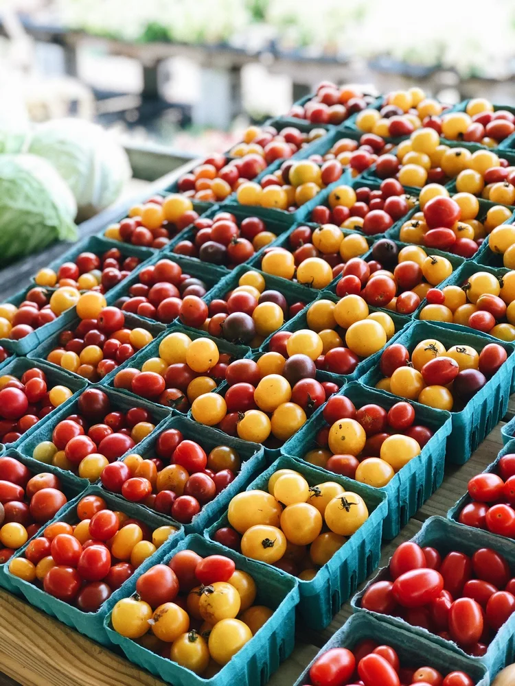6 Pro Tips for Successfully Growing Tasty Tomatoes — Garden Valley ...