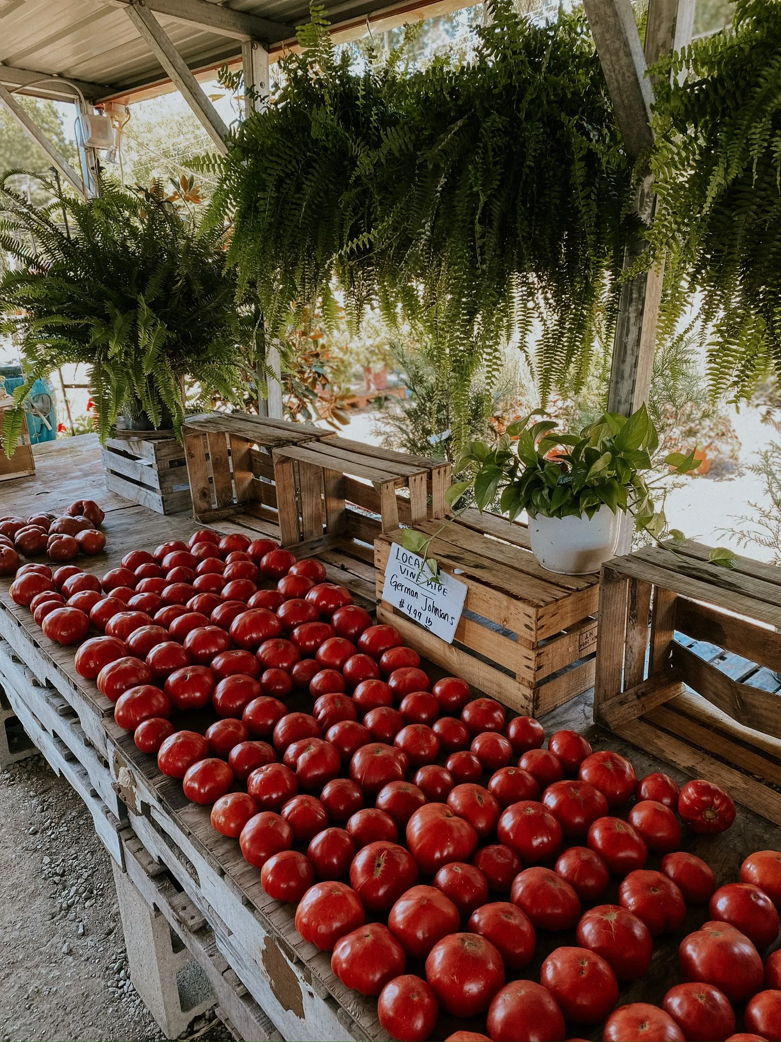 Garden Valley Farmers Market | Guilford and Alamance County North Carolina