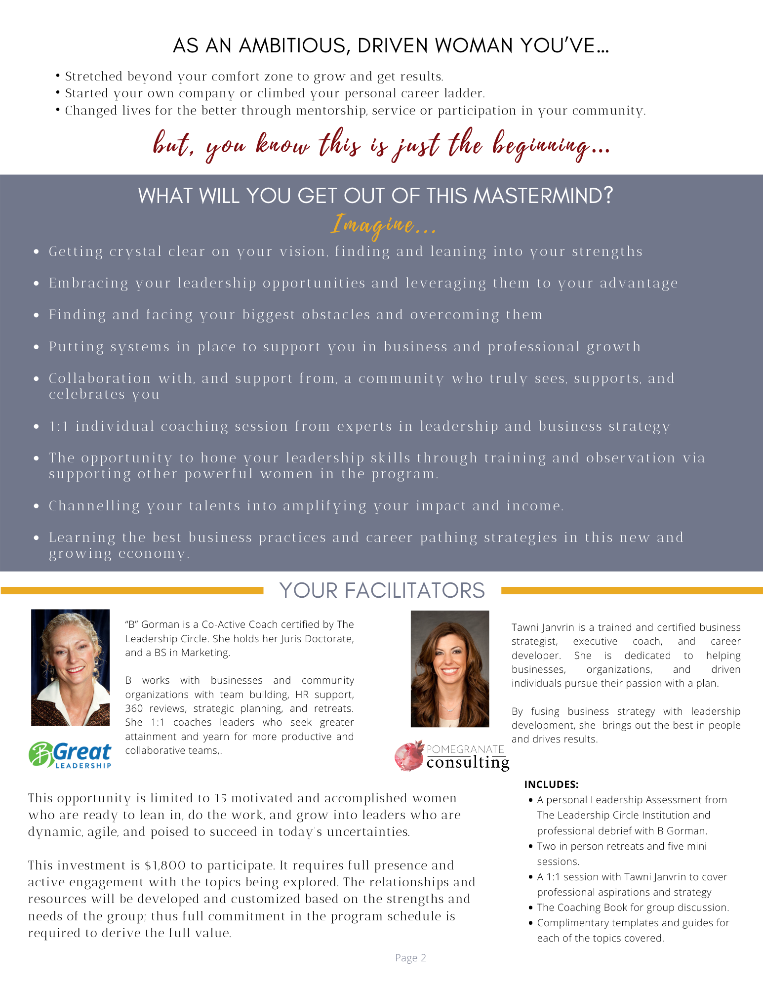 Business Consulting & Professional Development Coaching