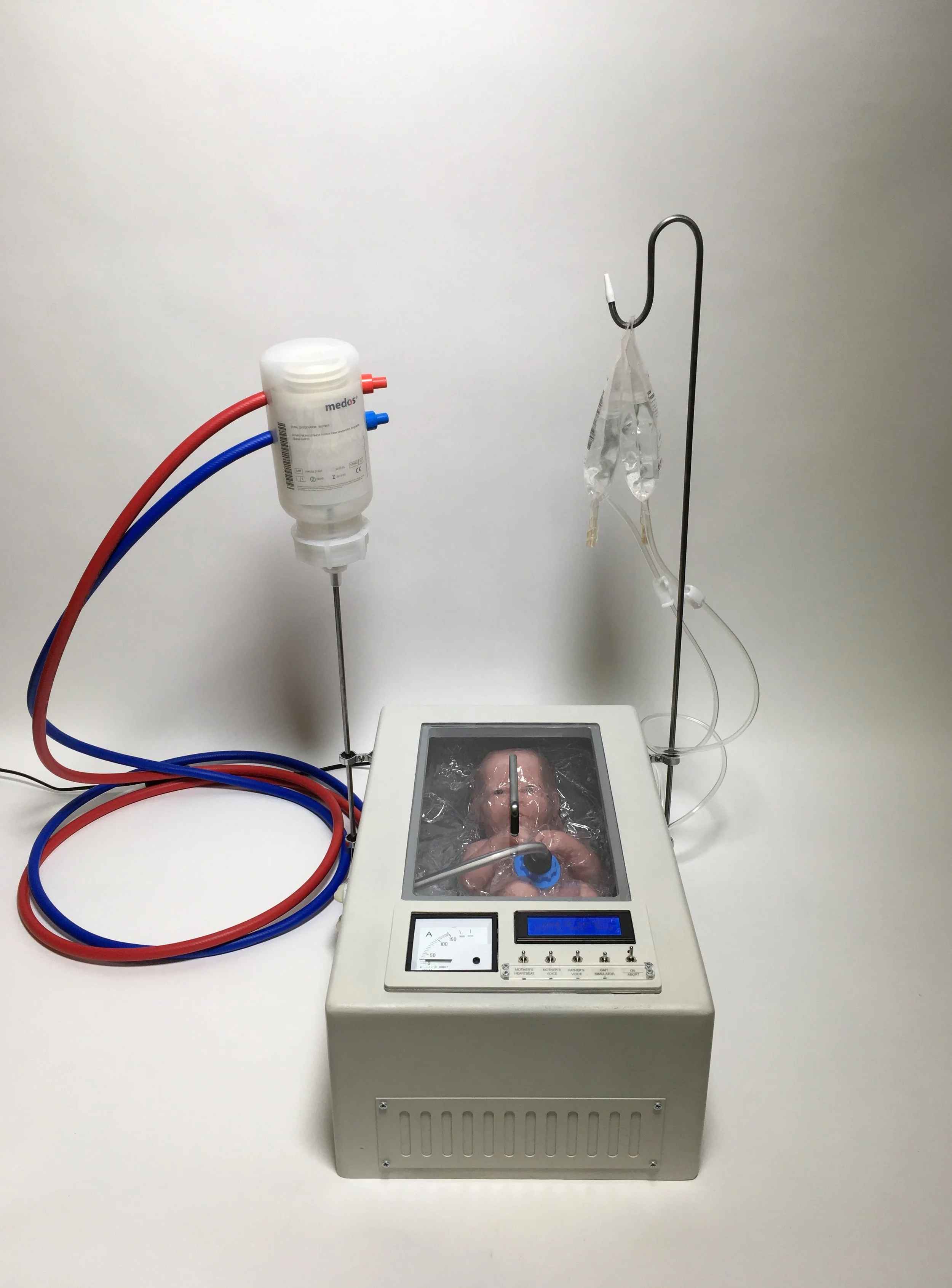 Technocratic Birth Prototypes — Rachel Foley