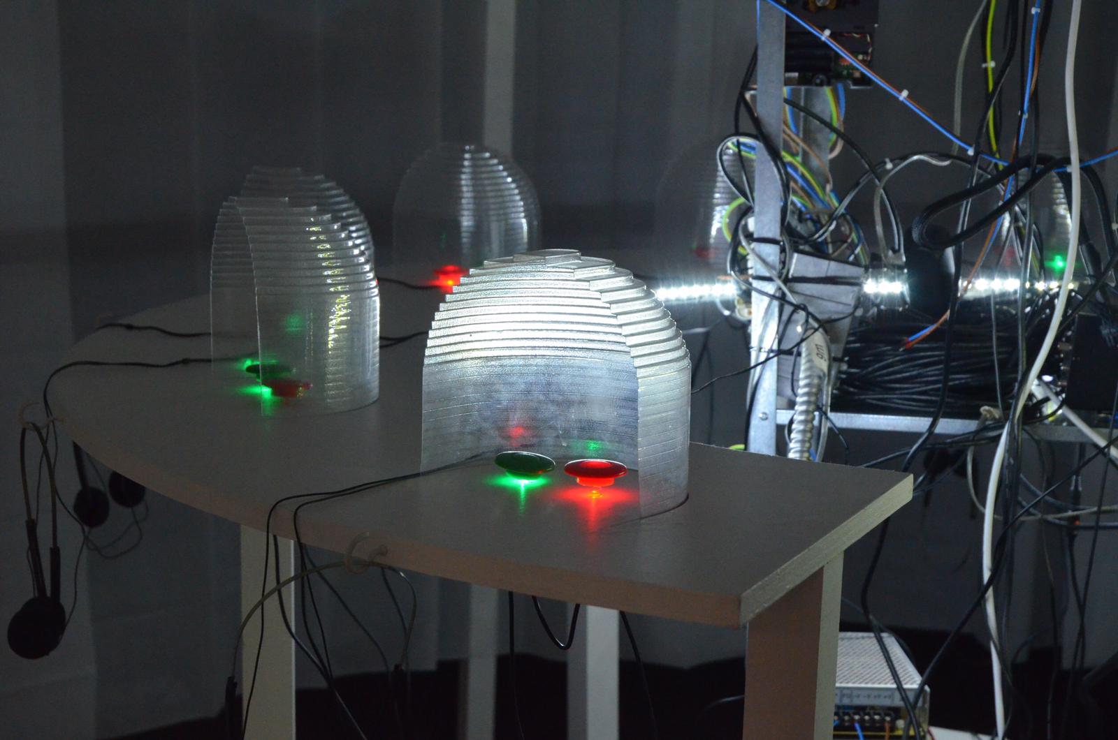 Future of Democracy — Rachel Foley