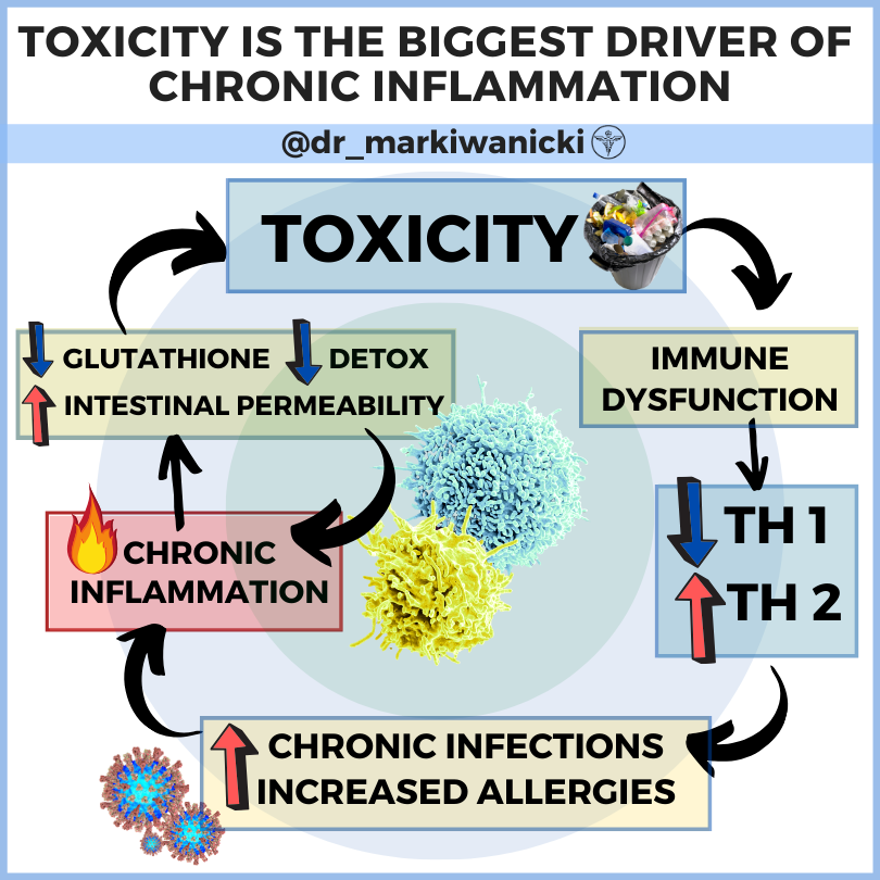 Dr. Mark Iwanicki- Toxicity is the Biggest Driver of Chronic Inflammation