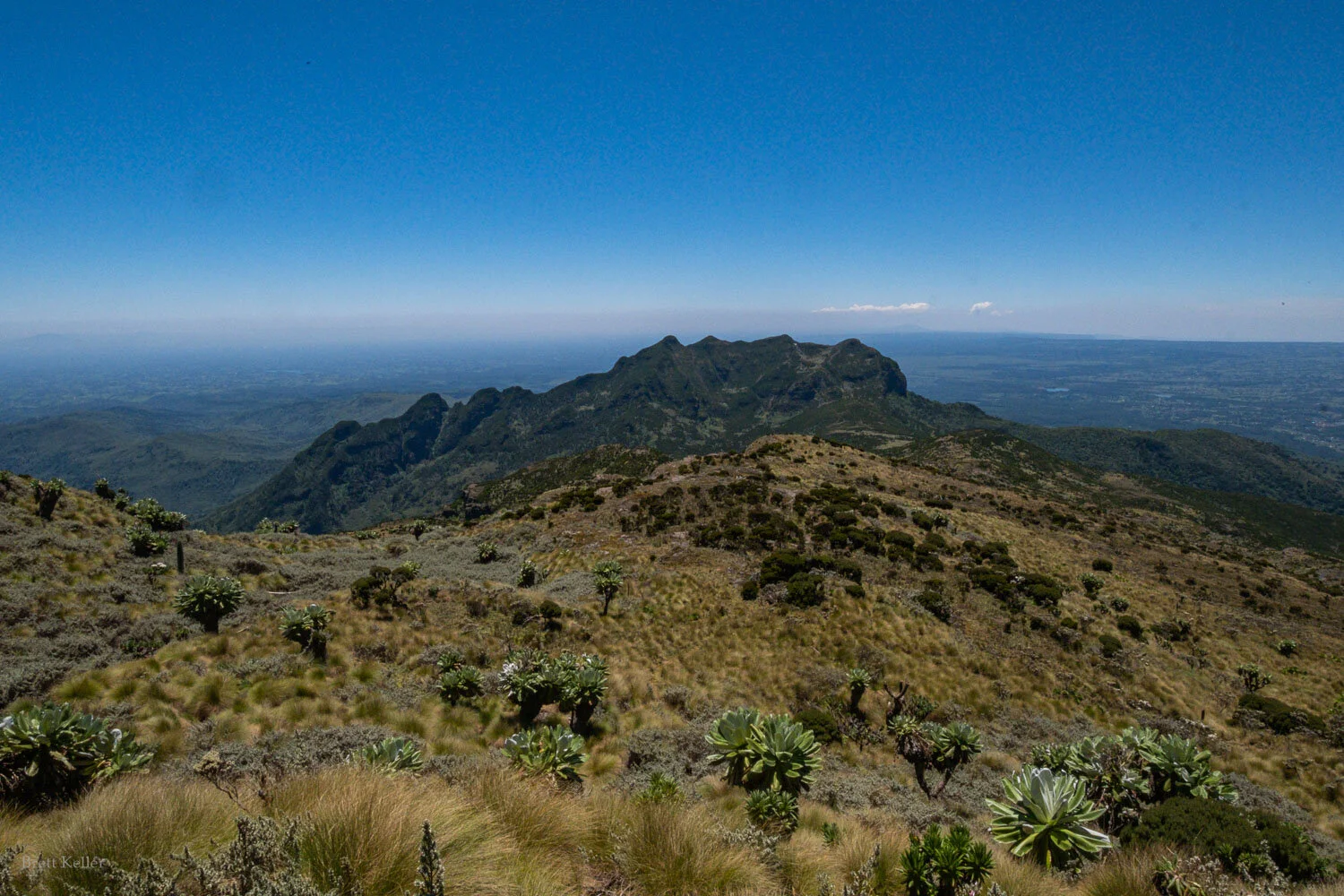 Mt. Kinangop — Brett Keller