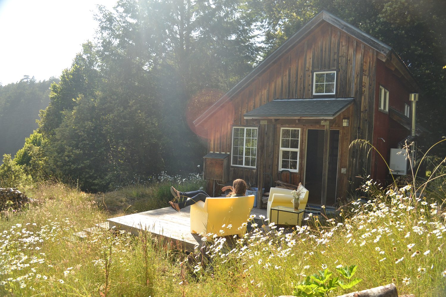 Newbird Cabin — OZ Farm