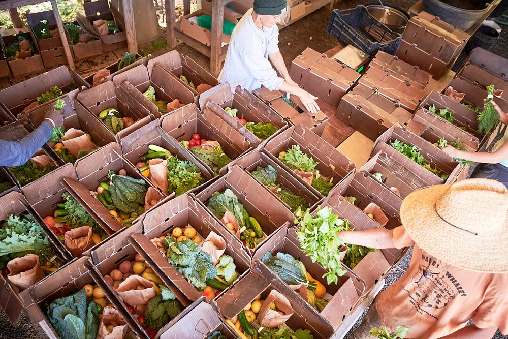 Organic Produce — OZ Farm