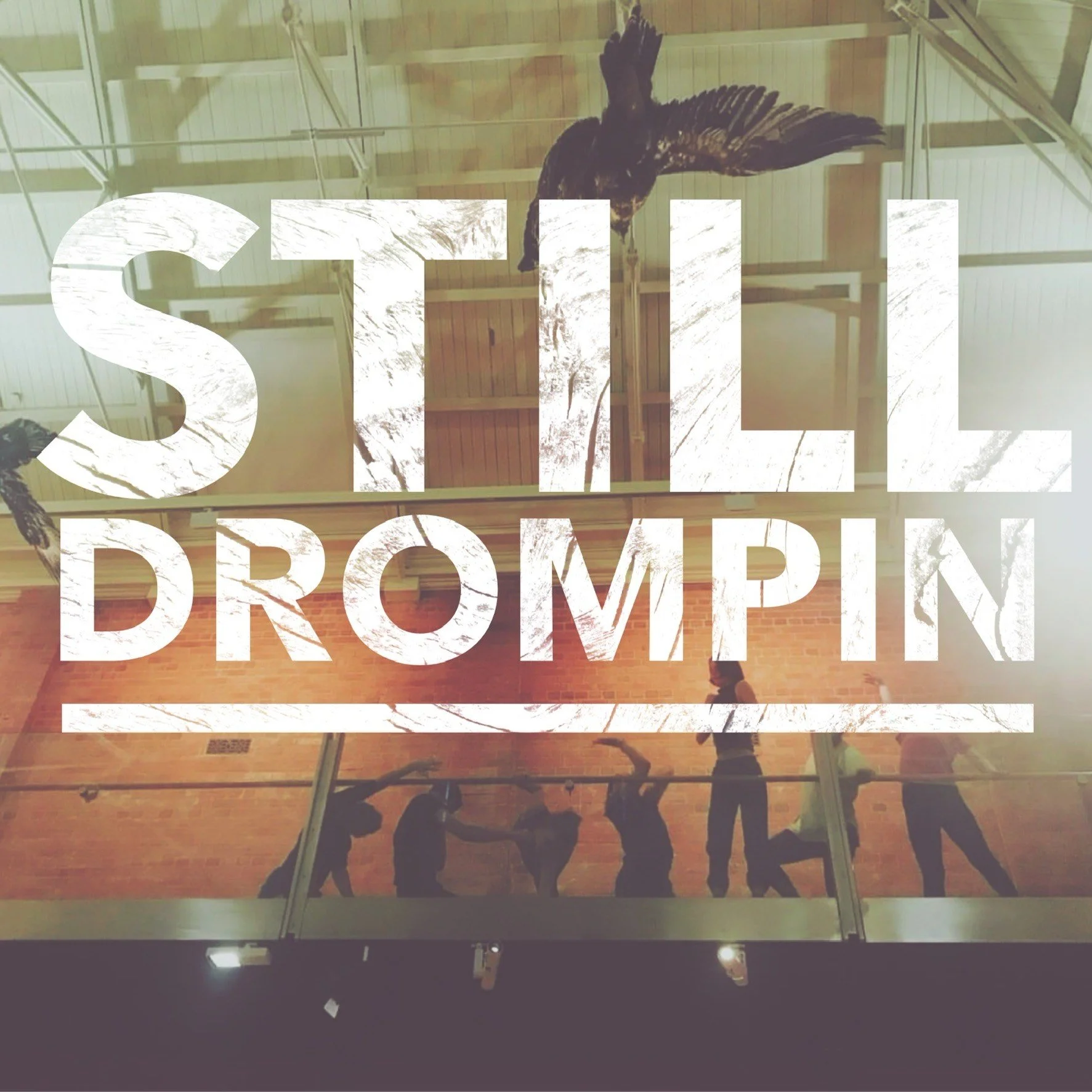 DRILL Performance Company Inc.