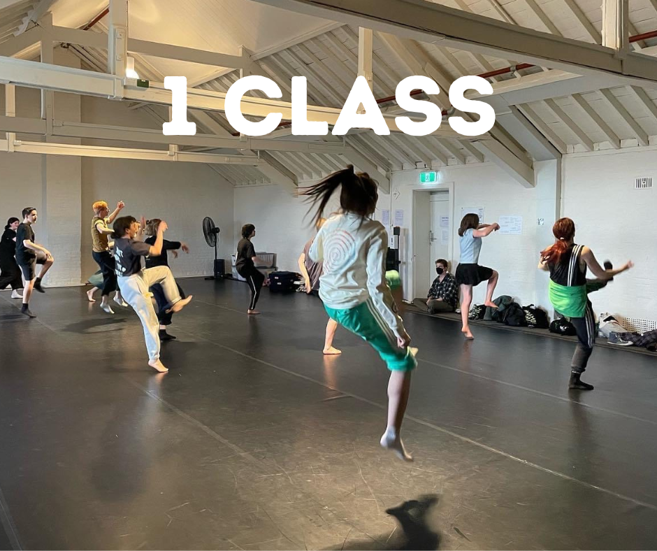 Store — DRILL Performance Company Inc.