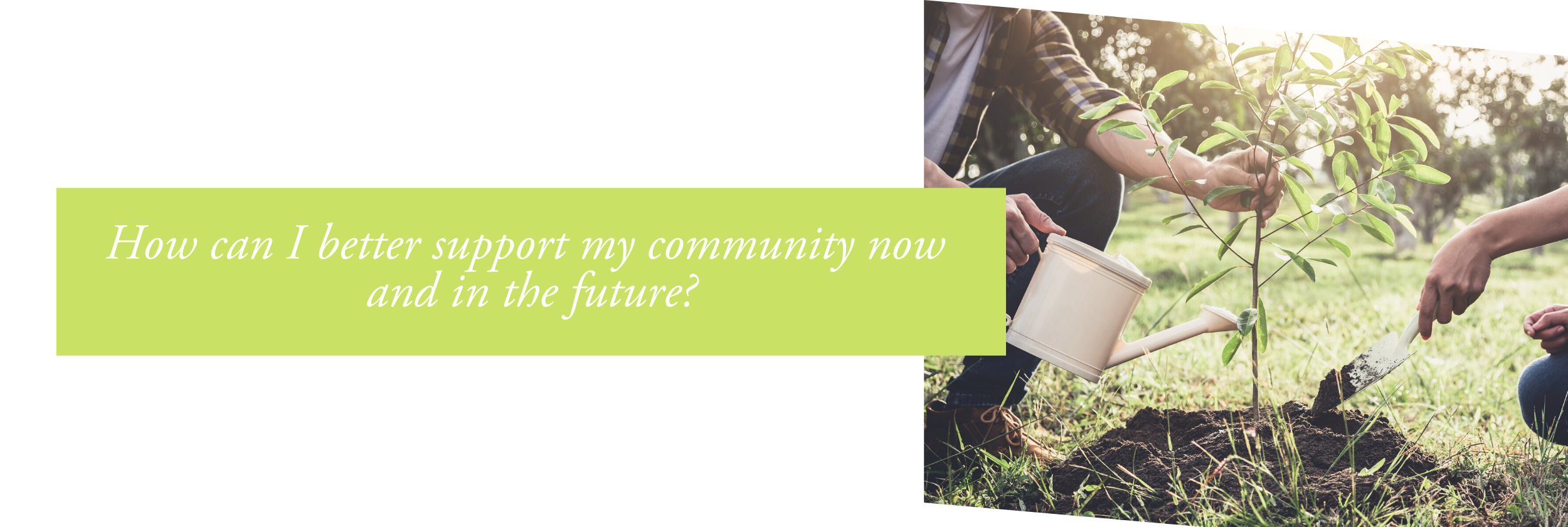 Ways to Support Your Environmental Wellness — Sheridan Student Union