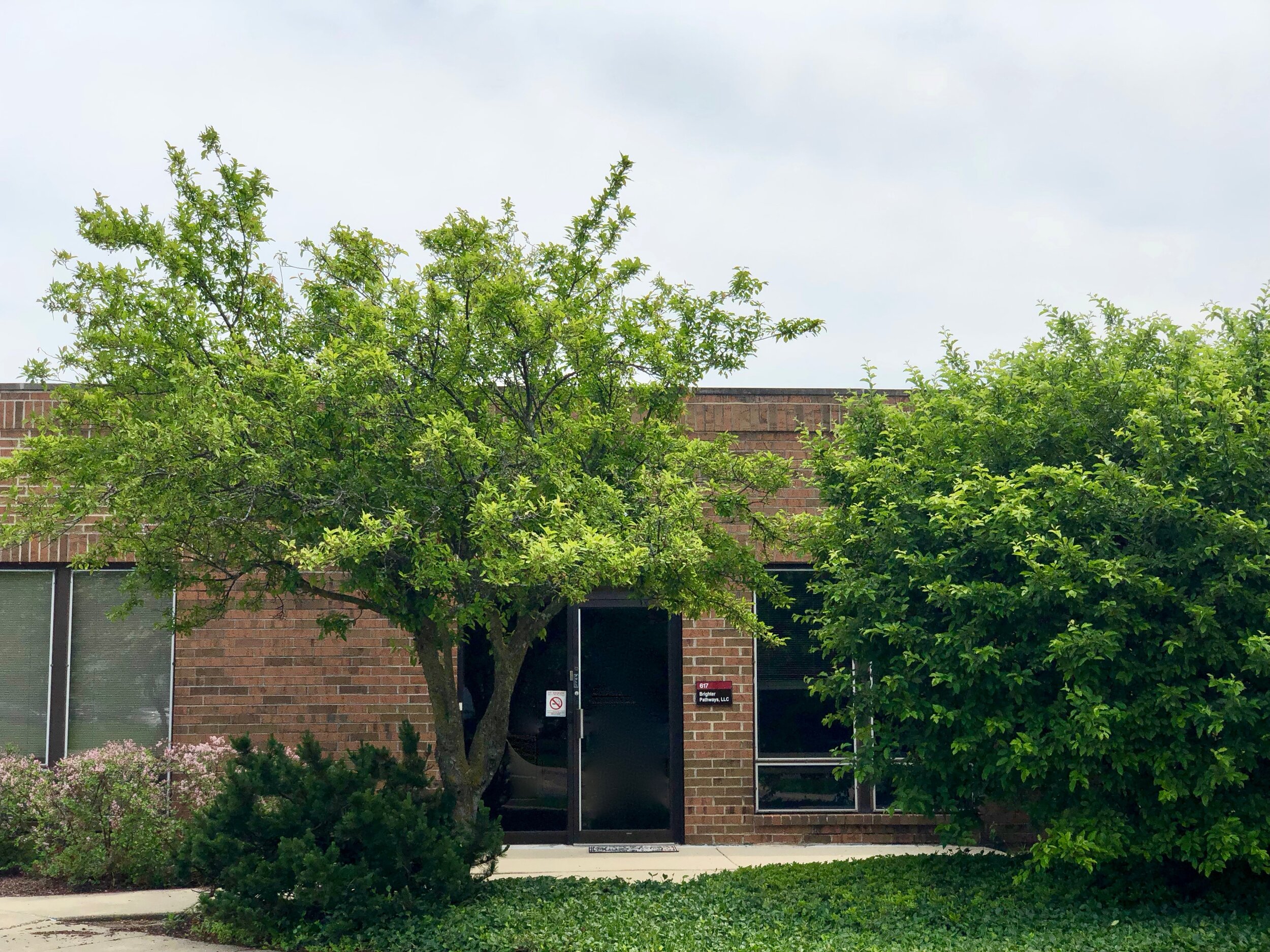 Brighter Pathways, PLLC