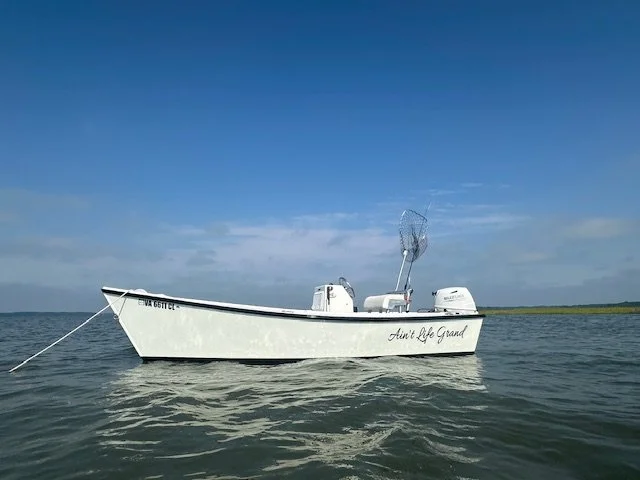 Skiff Scrapbook — Old Wharf Dory