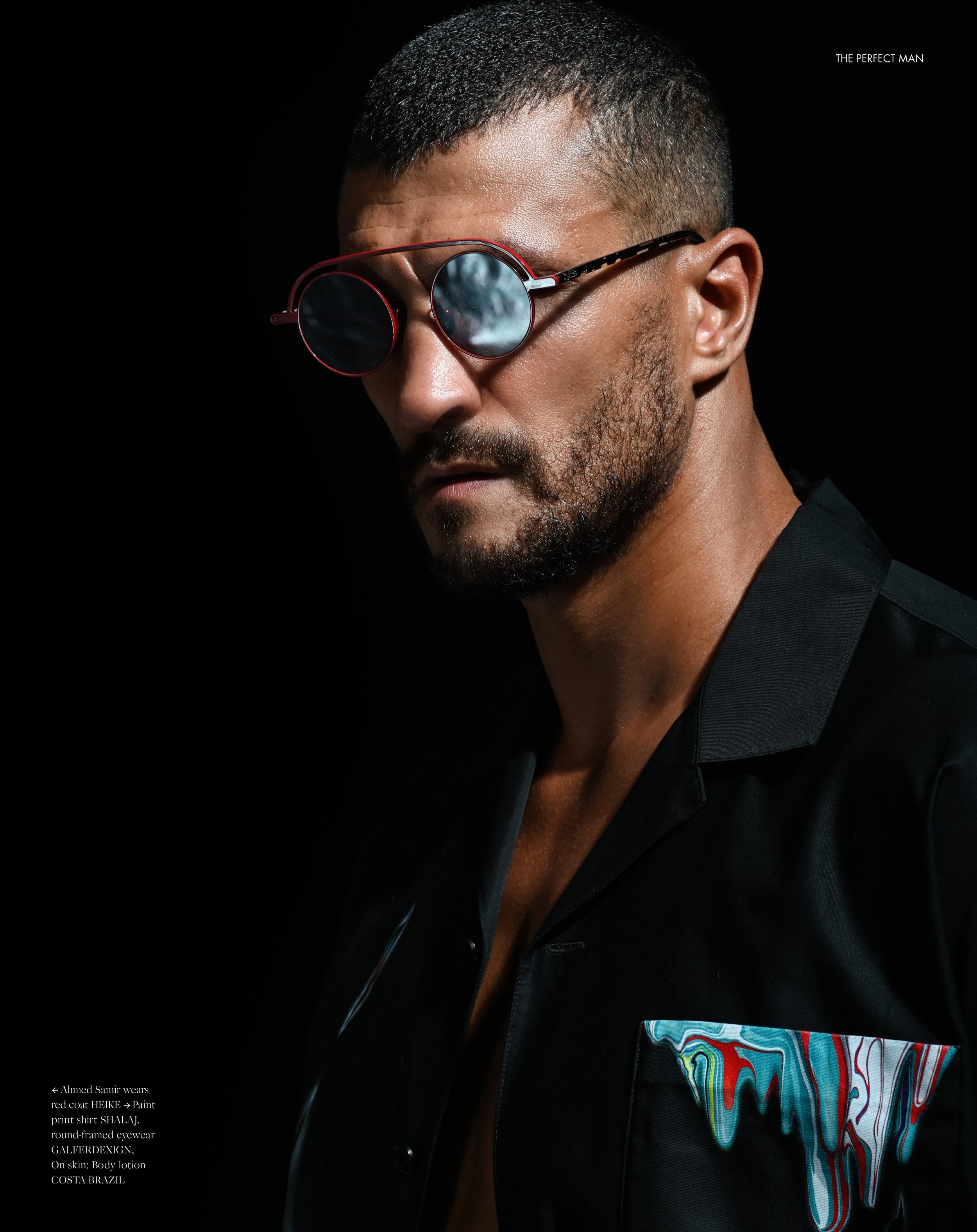 THE PERFECT MAN — The Perfect Man Magazine