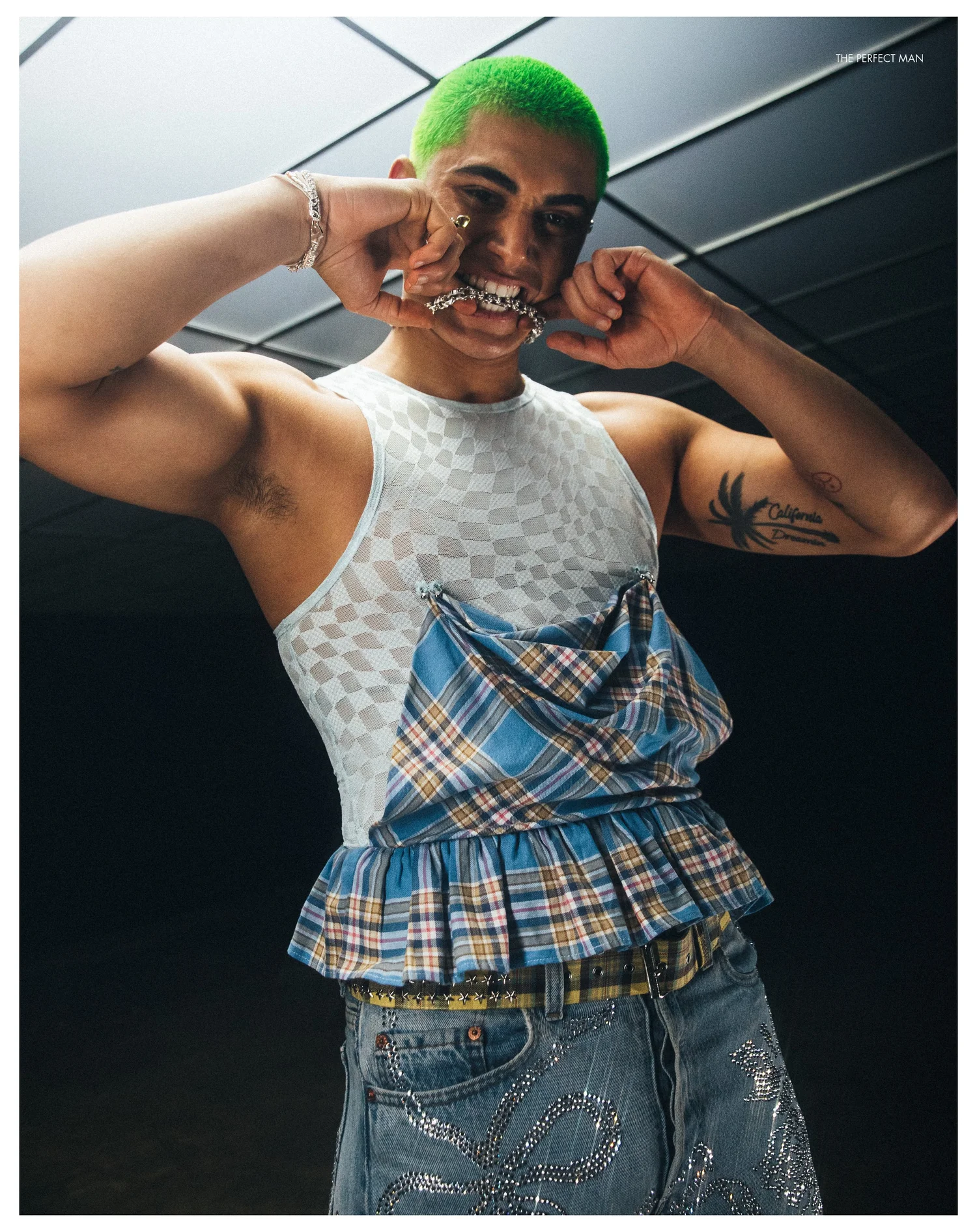 THE PERFECT MAN — The Perfect Man Magazine