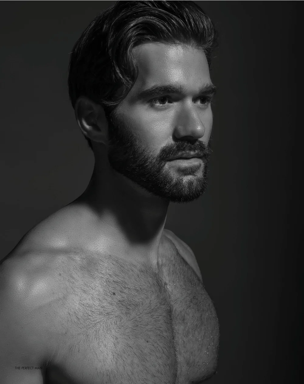 THE PERFECT MAN — The Perfect Man Magazine