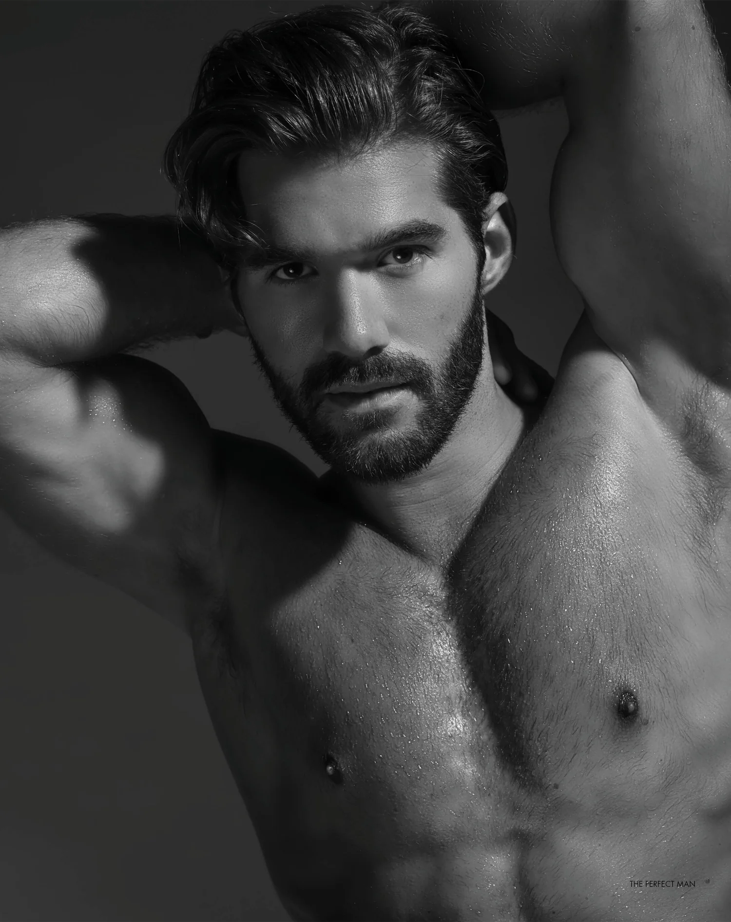 THE PERFECT MAN — The Perfect Man Magazine