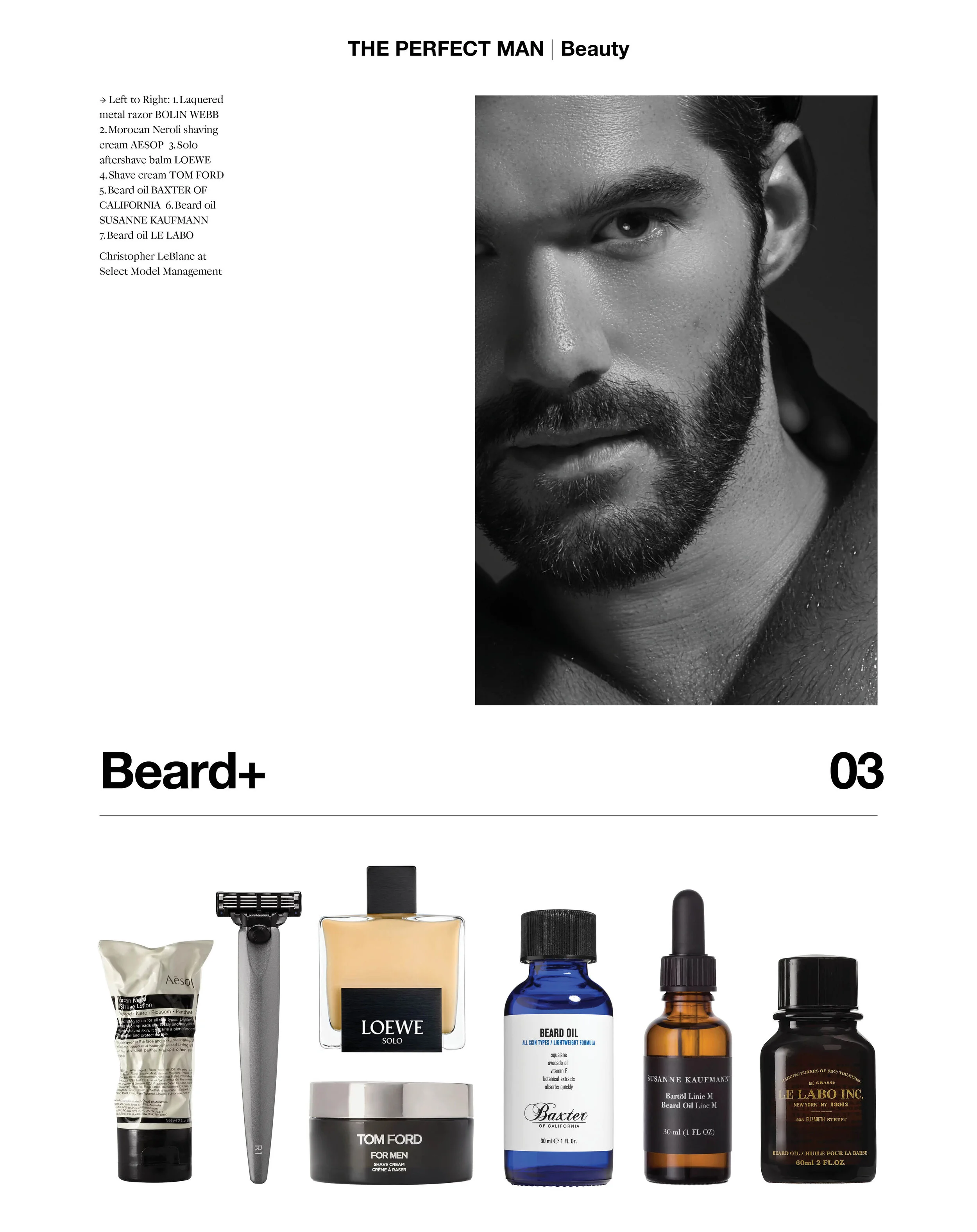 THE PERFECT MAN — The Perfect Man Magazine