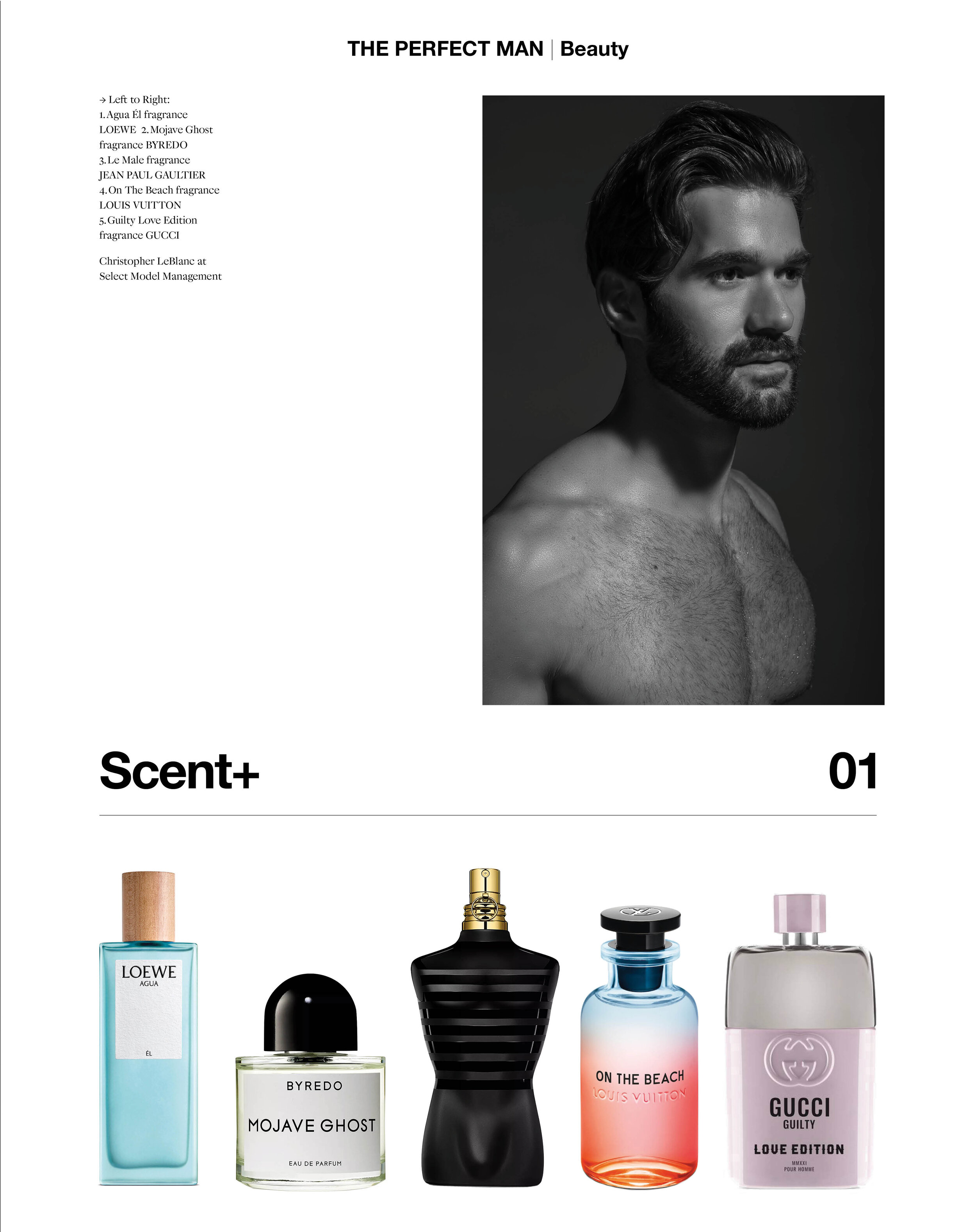 THE PERFECT MAN — The Perfect Man Magazine