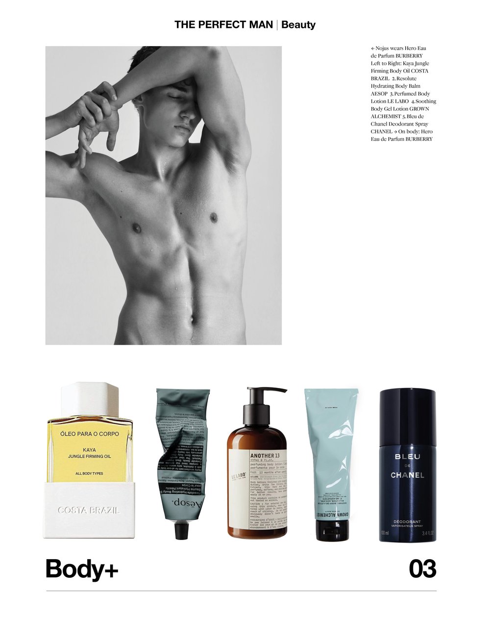 THE PERFECT MAN — The Perfect Man Magazine