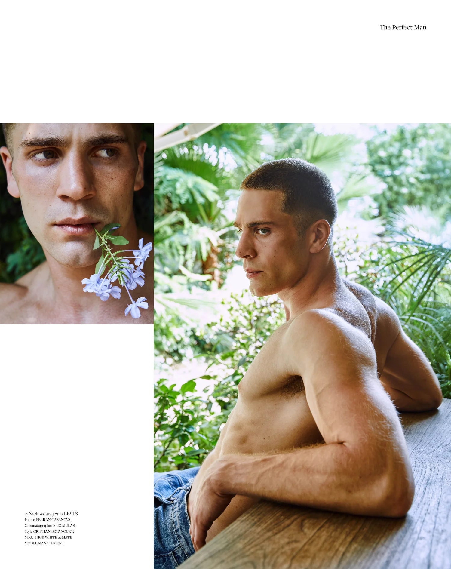 THE PERFECT MAN — The Perfect Man Magazine