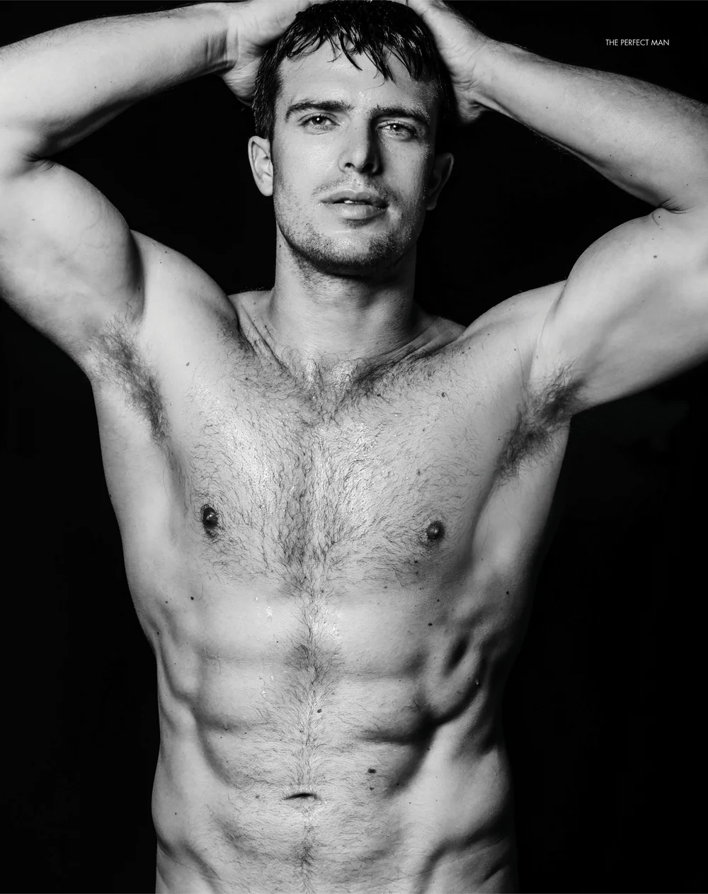 THE PERFECT MAN — The Perfect Man Magazine