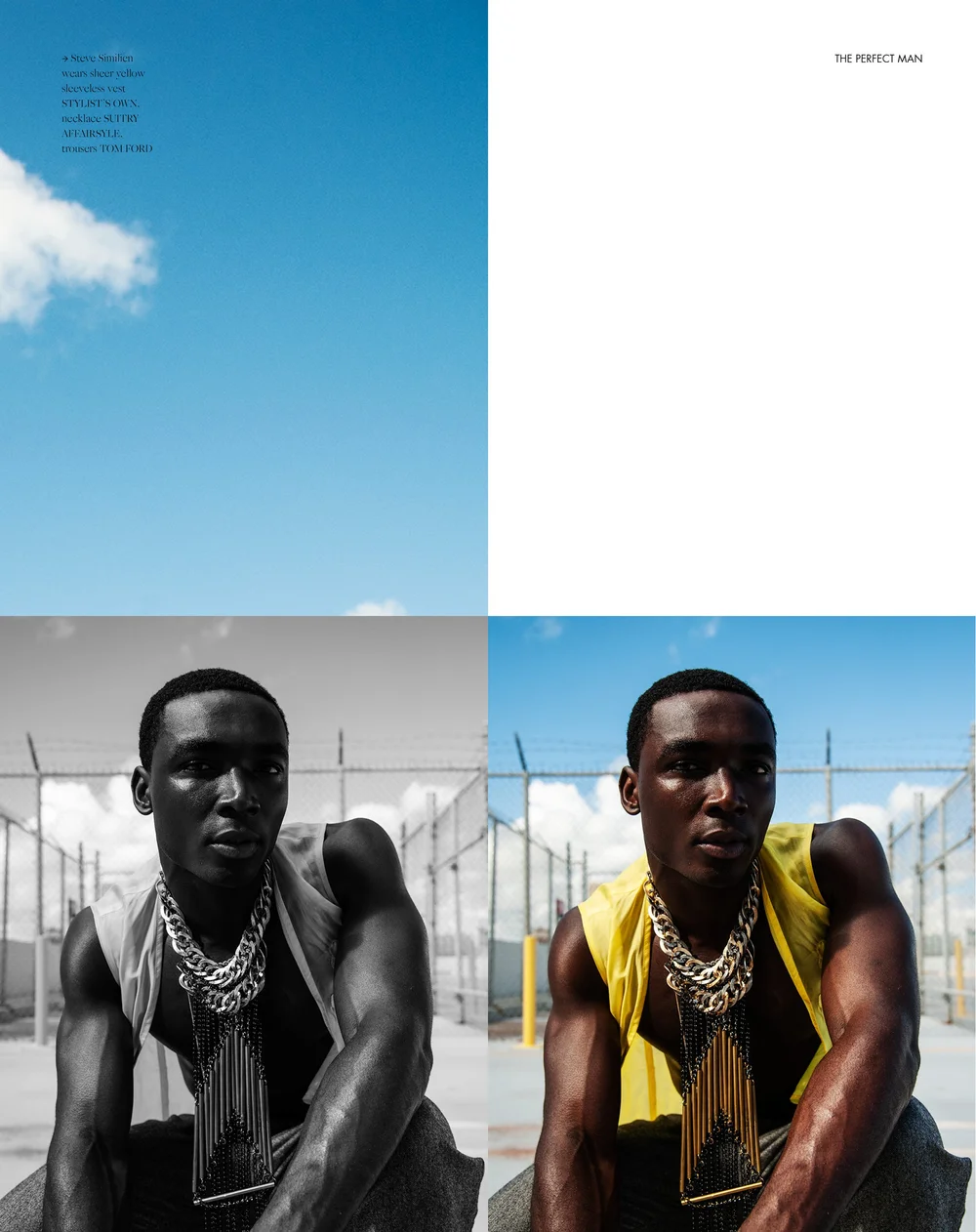 THE PERFECT MAN — The Perfect Man Magazine