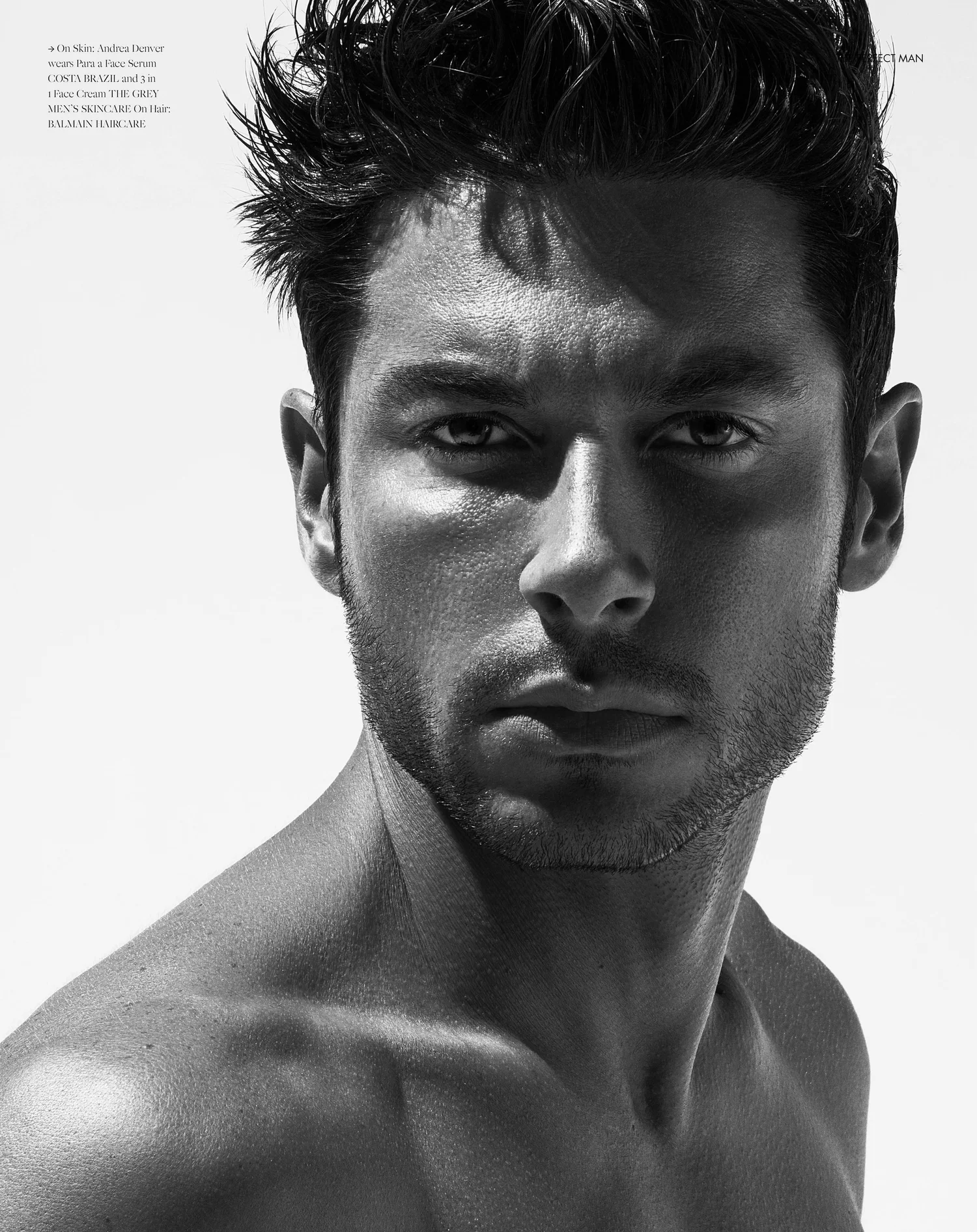 THE PERFECT MAN — The Perfect Man Magazine