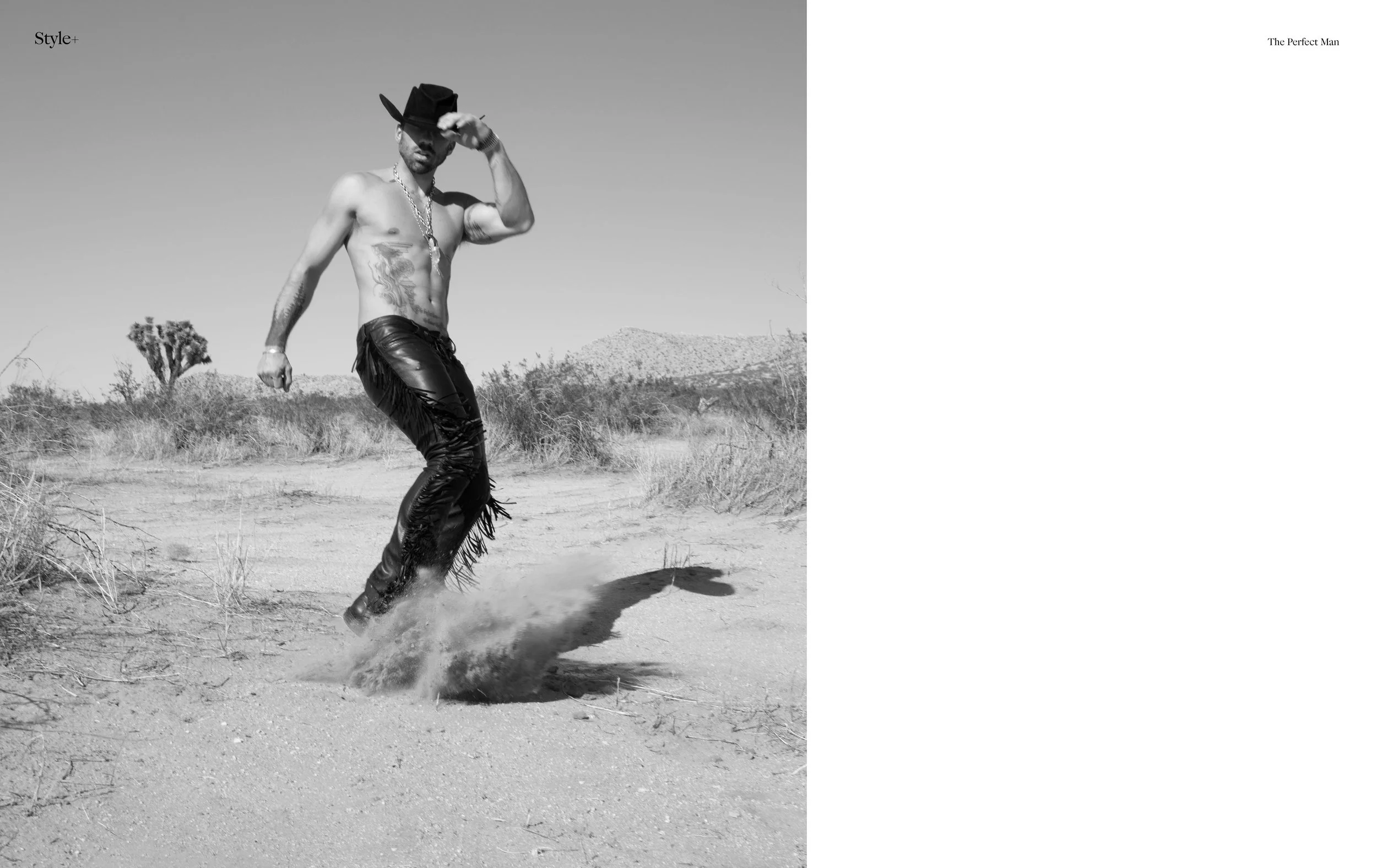 THE PERFECT MAN — The Perfect Man Magazine