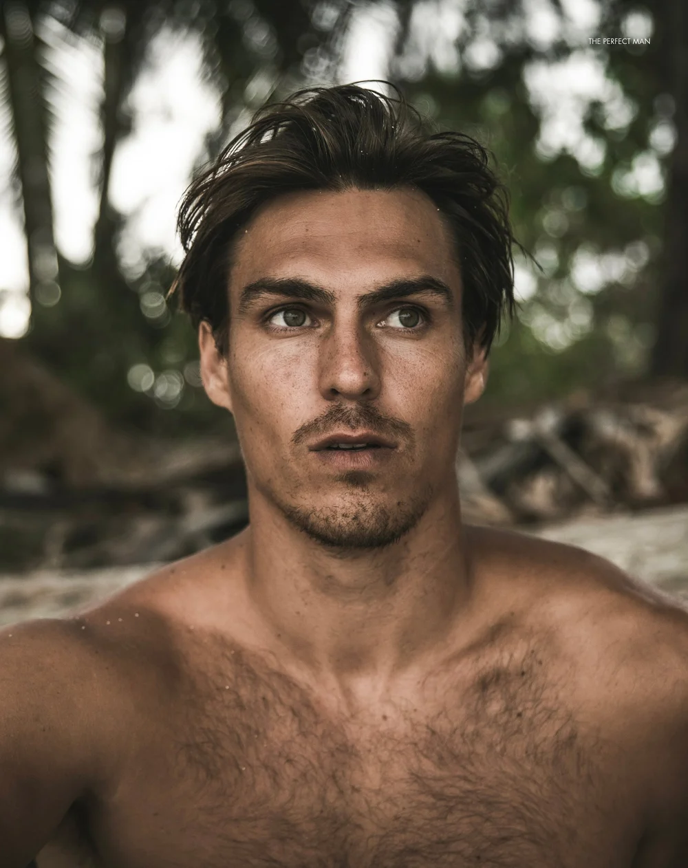 THE PERFECT MAN — The Perfect Man Magazine