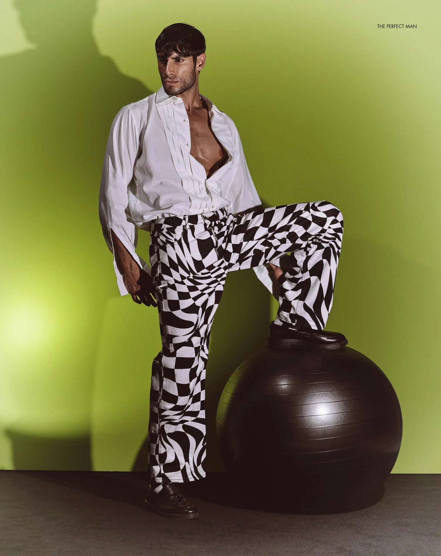 THE PERFECT MAN — The Perfect Man Magazine
